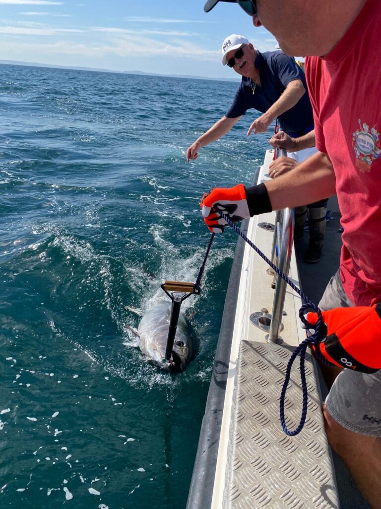 Devon Fishing Trips, Holidays and Charters In Torbay